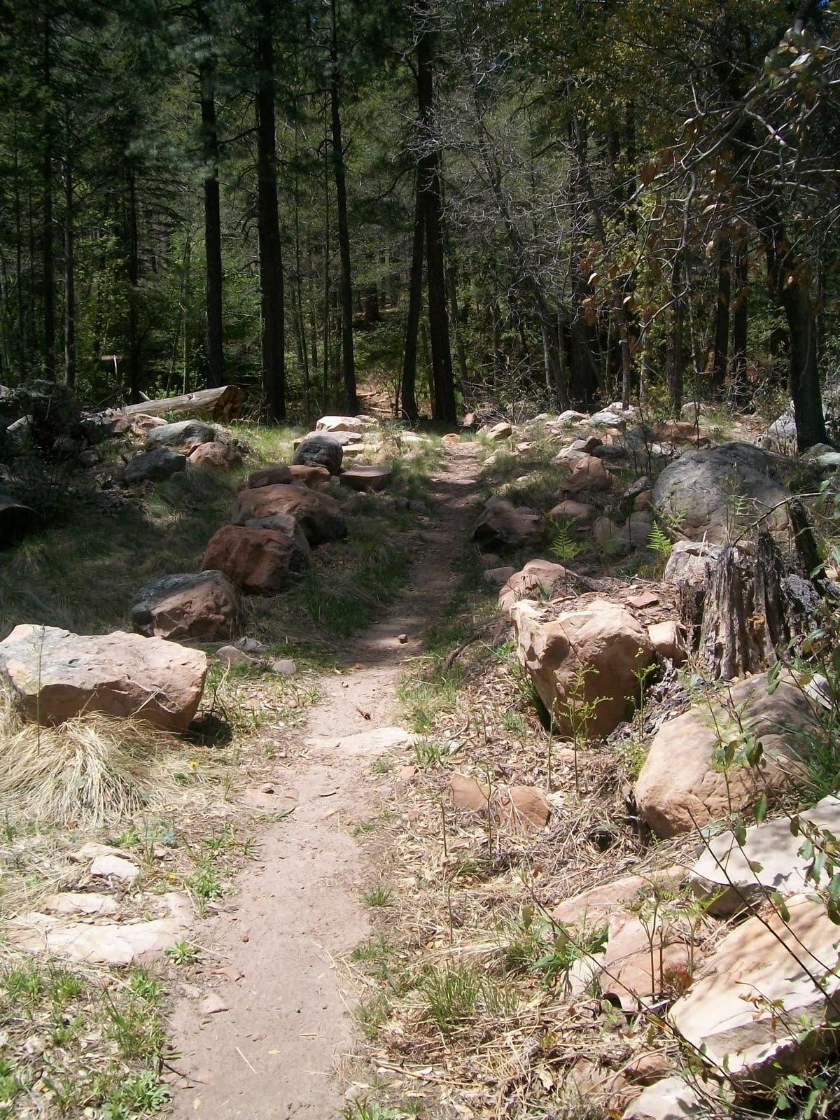 Arizona Jones: Exploring the Mogollon Rim Country of Arizona