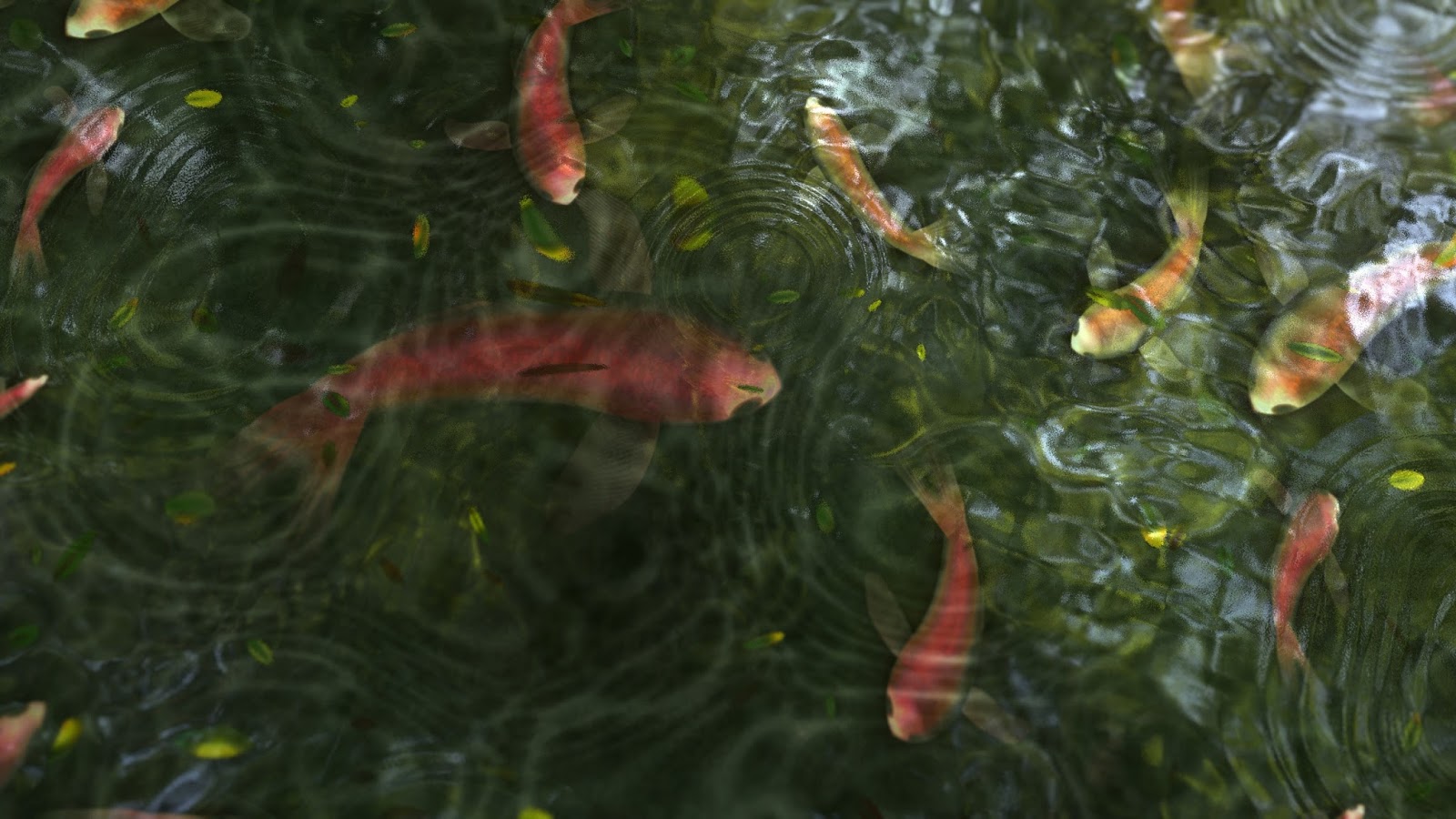 akshayartcorner: Koi fish pond (substance designer) material study