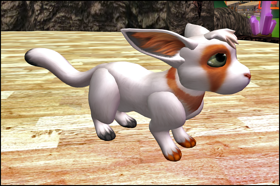 Fos Dagger's MyRoos: The Meeroo from Japan