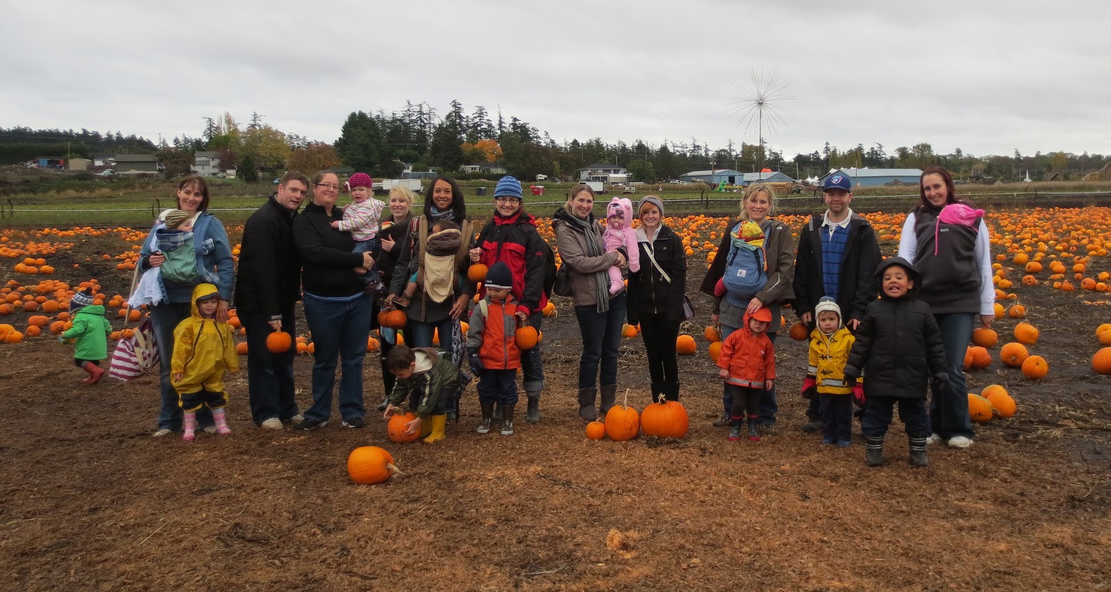 momstown Victoria: momstown Victoria Discovery Field Trip to Galey Farms