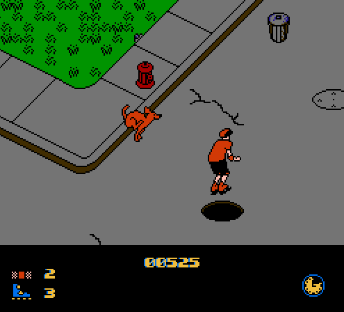 VGJUNK: ROLLERBLADE RACER (NES)