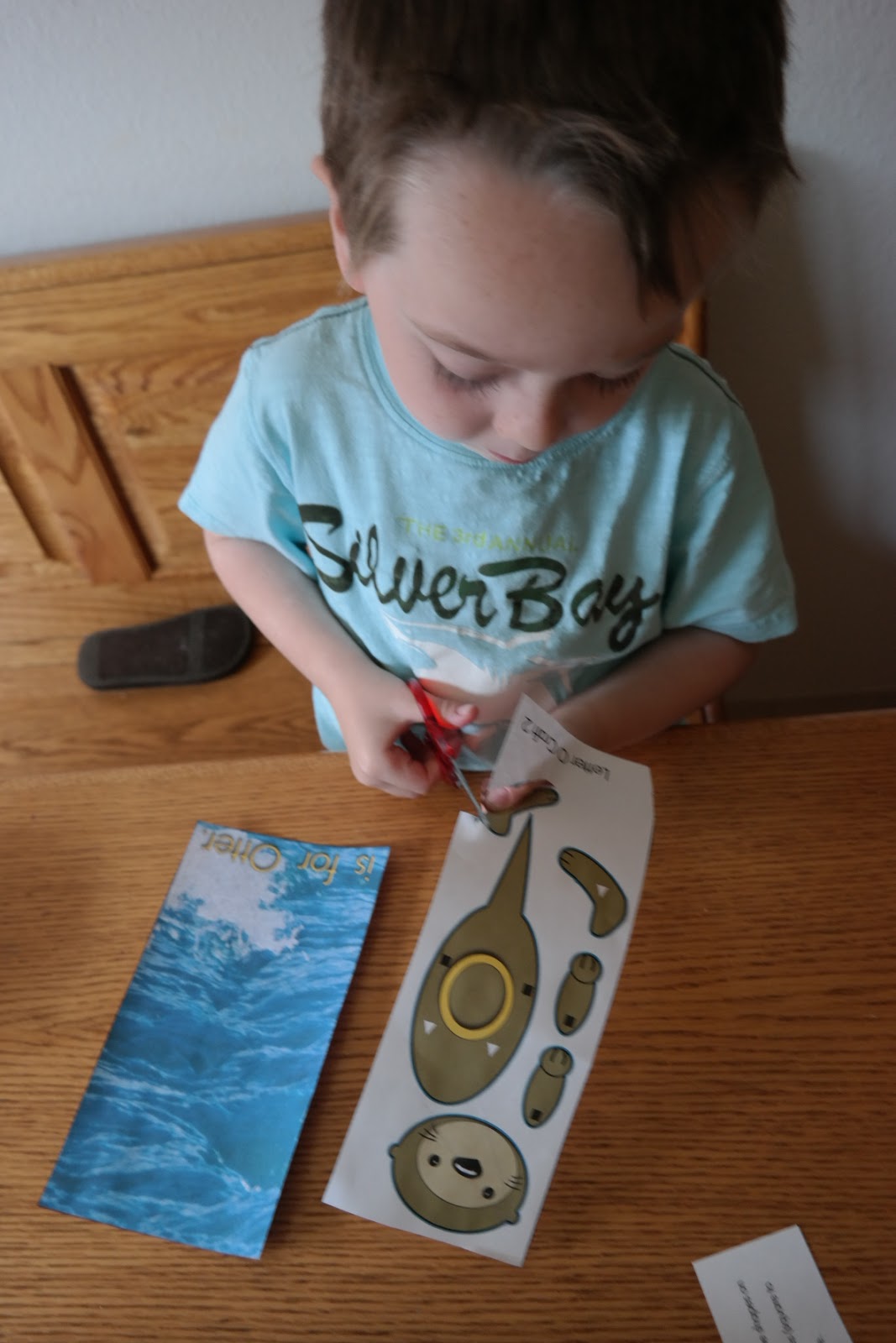 Glimmercat Education: Letter of the Week for O