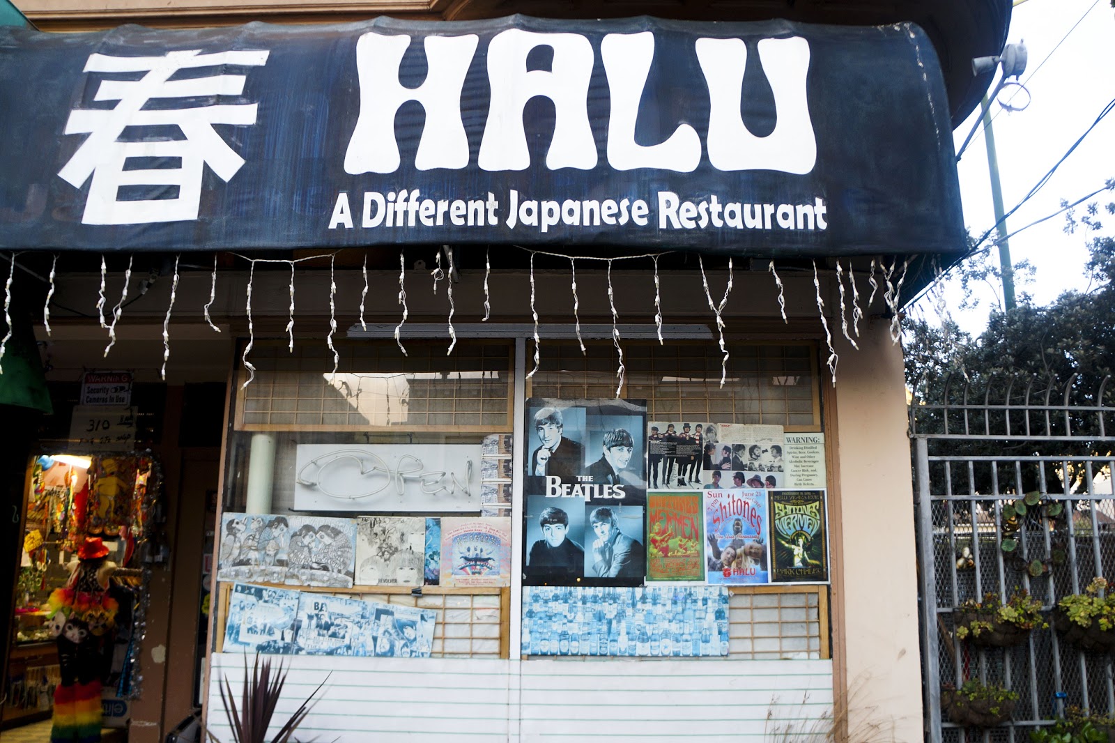 HALU, RICHMOND SF - vickichowder