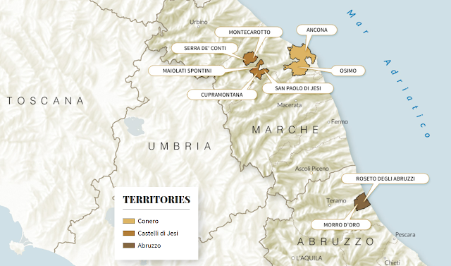 Vino Travels ~ An Italian Wine Blog: Grape of the Sheep with Umani ...