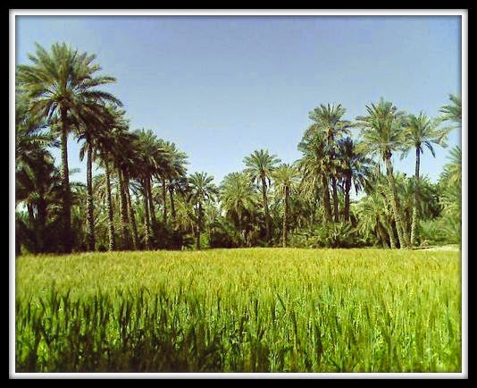 Baluchistan the Incredible Province: DISTRICT PANGUR (BALOCHISTAN-PAKISTAN)