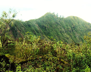 Jalur Pendakian Gunung Malabar - Catatan Harian Keong