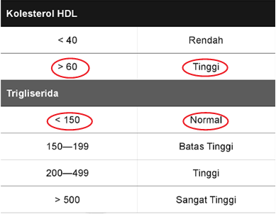 KOLESTEROL TINGGI? KENALI PENYEBAB, CARA PENCEGAHAN, DAN PENGOBATANNYA!