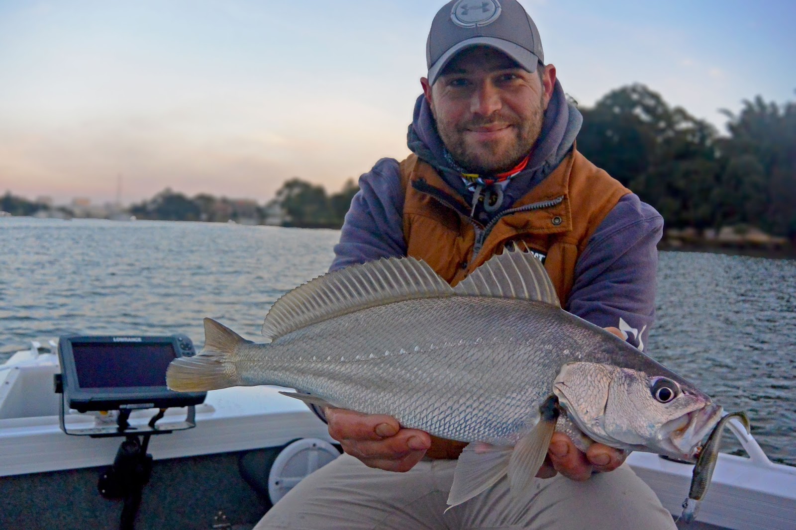 The Fish Cure: THE MULLOWAY CIRCLE