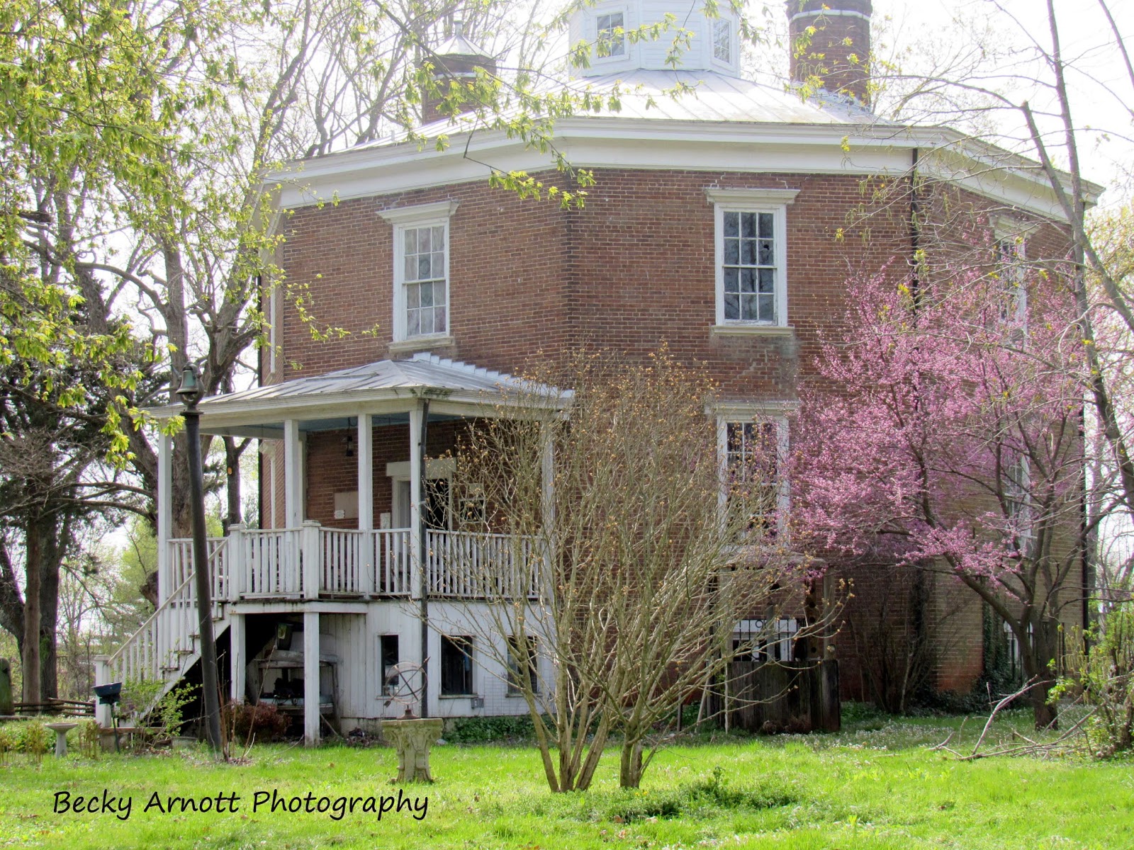 The Art of Positive Living: Our Octagon Hall Adventure