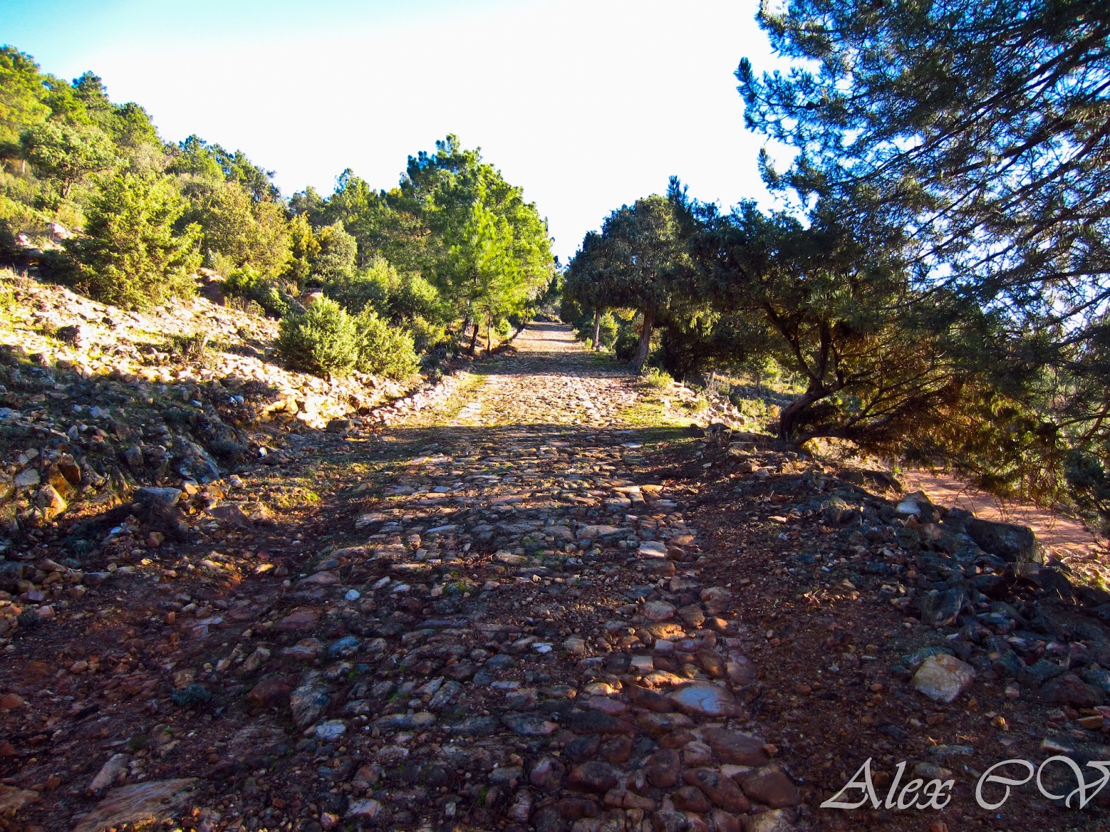 POR LOS CERROS DE ÚBEDA: PICO ESTRELLA DESDE MIRANDA DEL REY ...