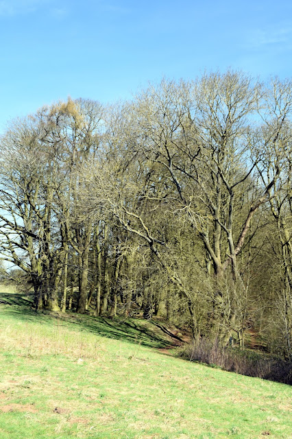 Enjoy your time with beautiful places: Borough Hill is More Than Just A ...