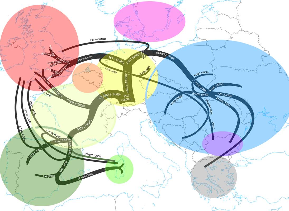 South Slavic DNA Blog: South Slavic origin and I2a-Dinaric South (I-PH908)