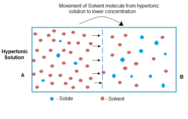 Hypertonic Diagram