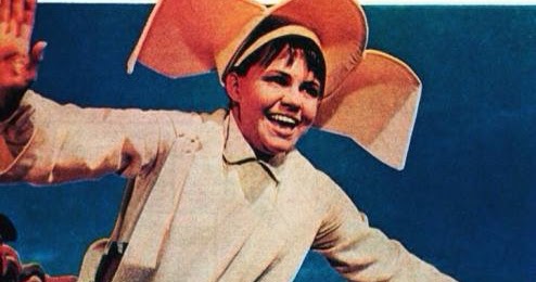 Bar do Bulga: A Noviça Voadora - The Flying Nun (1967).