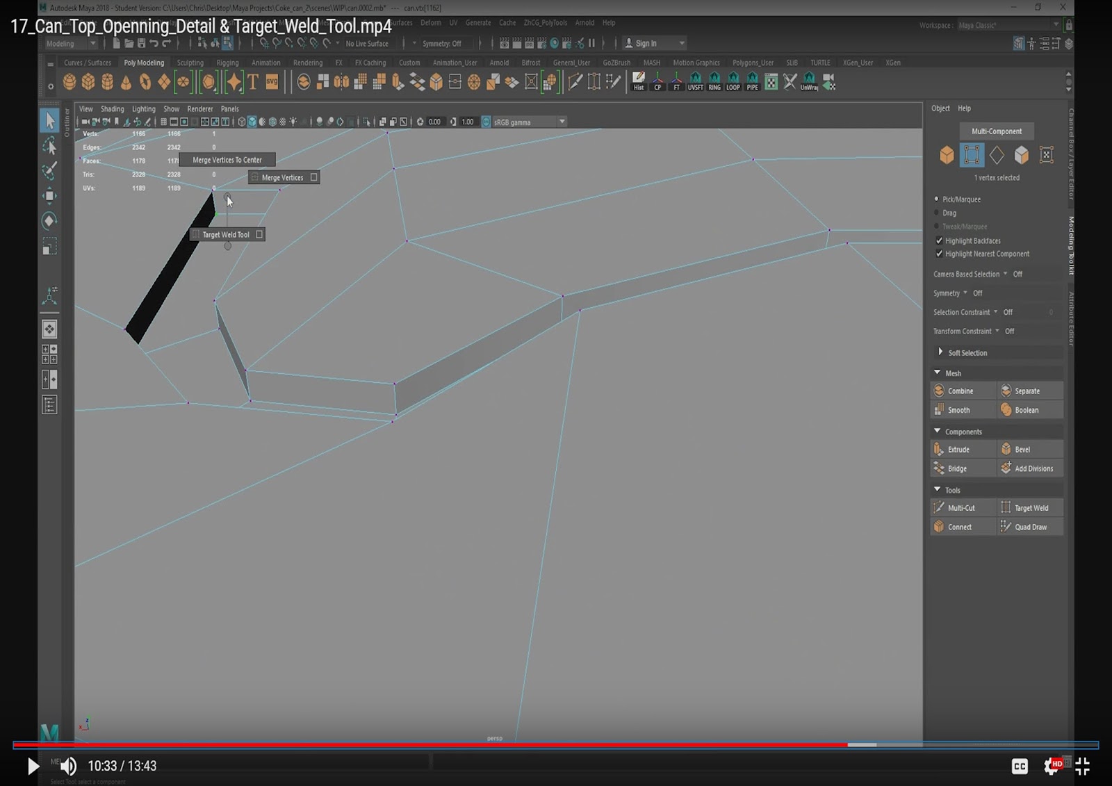 Shea Clarke level 2: Environment modeling