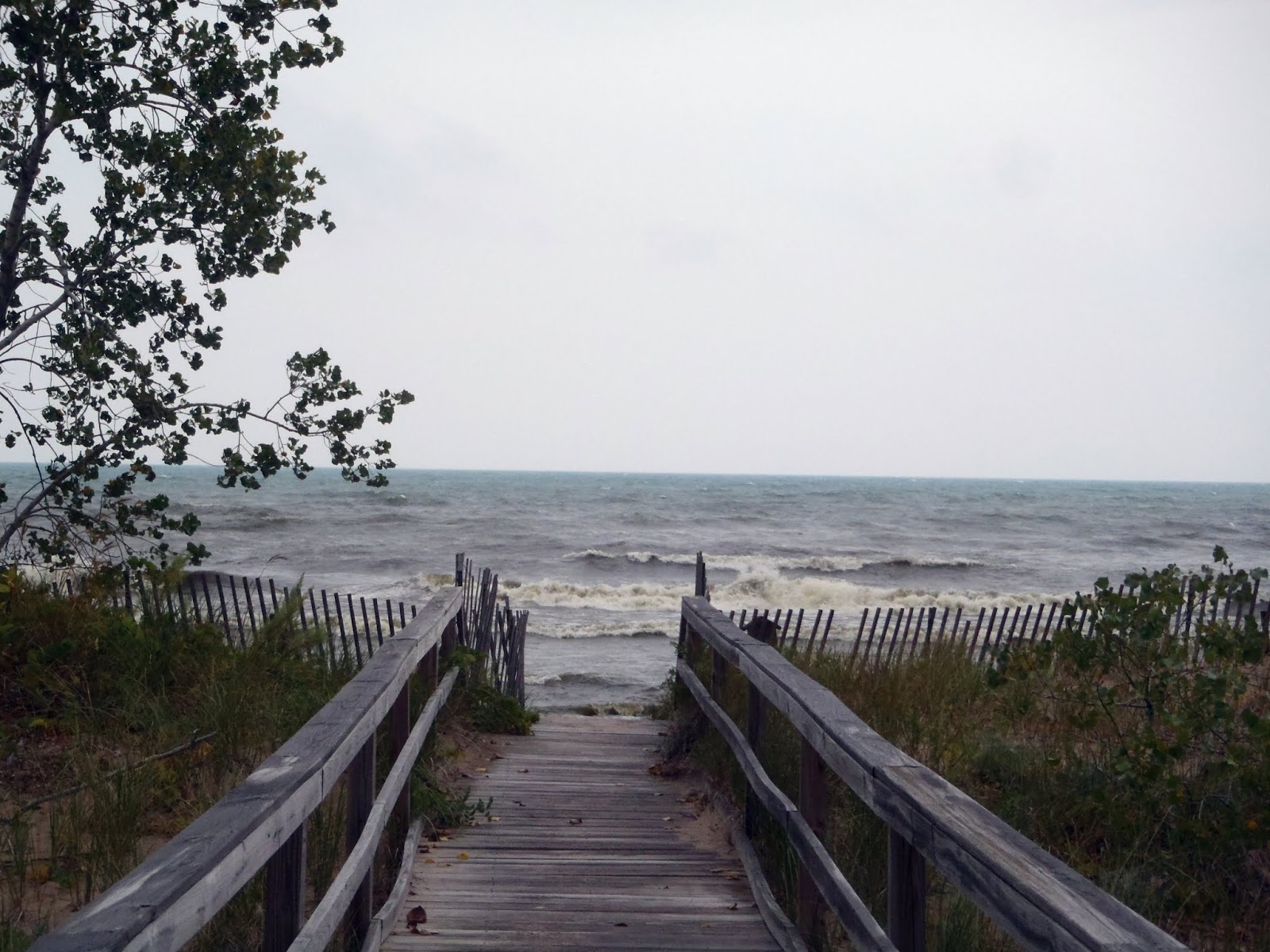 LAKE ONTARIO & LAKEVIEW WMA kayaking.