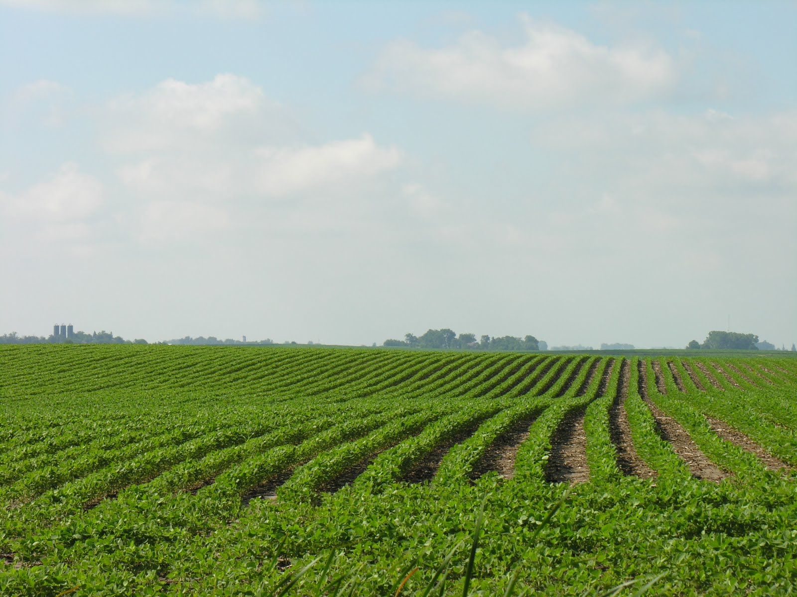 Cal & Rachel Litwiller's Adventures: Storm Lake, IA to Webster City, IA