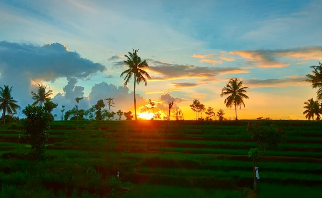 Indahnya Desa Barejulat Tak Kalah dengan Ubud di Bali
