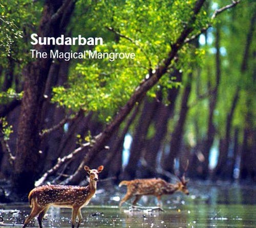 DISCOVER YOURSELF: SUNDARBAN- THE MAGICAL MANGROVE