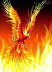 Feniks: wzburzone morze