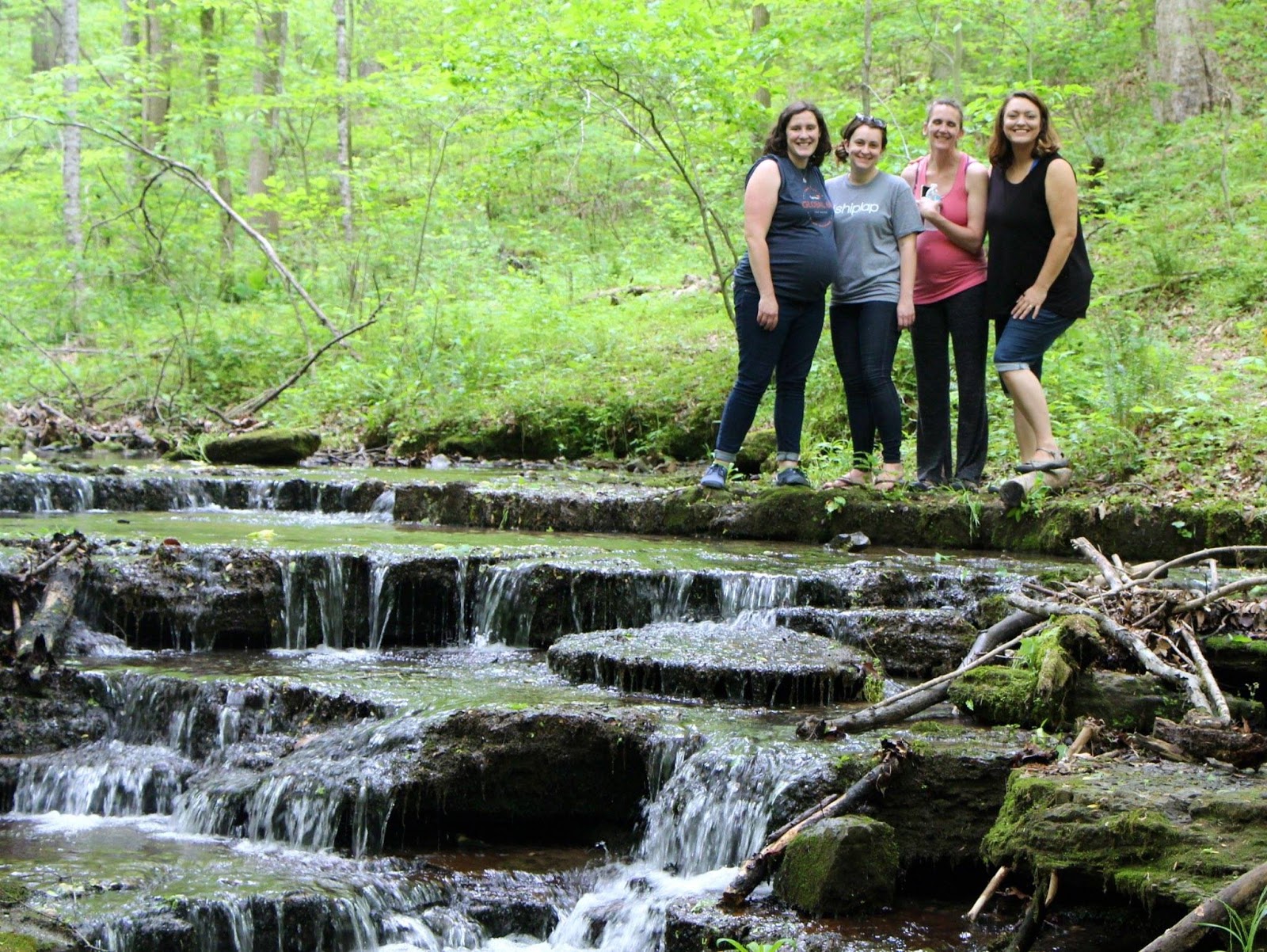 Forest Gully Farms Getaway