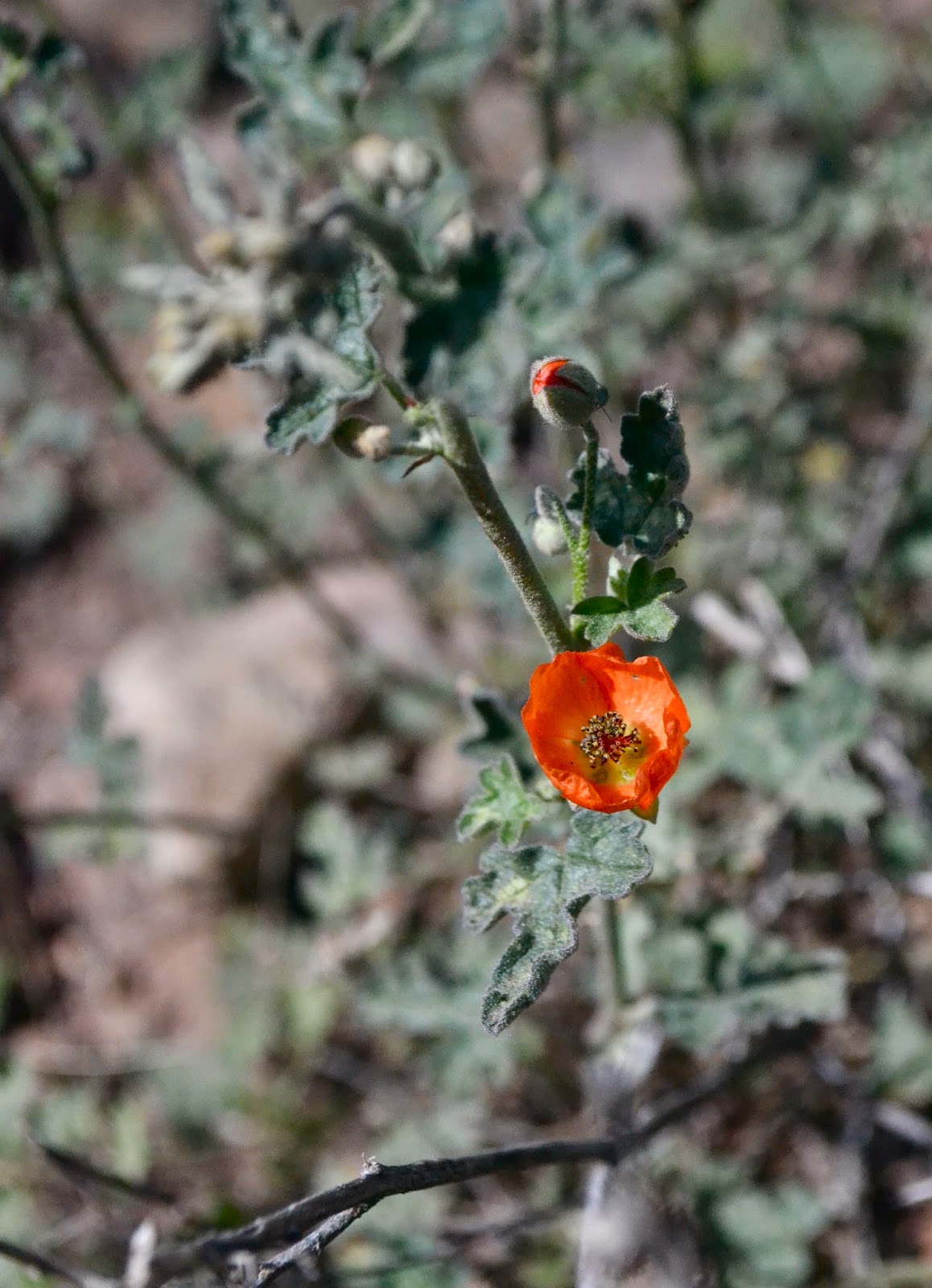 Rural Climates, Rural People