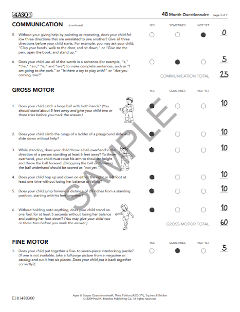 Ages and Stages Questionnaire, Third Edition (ASQ-3)