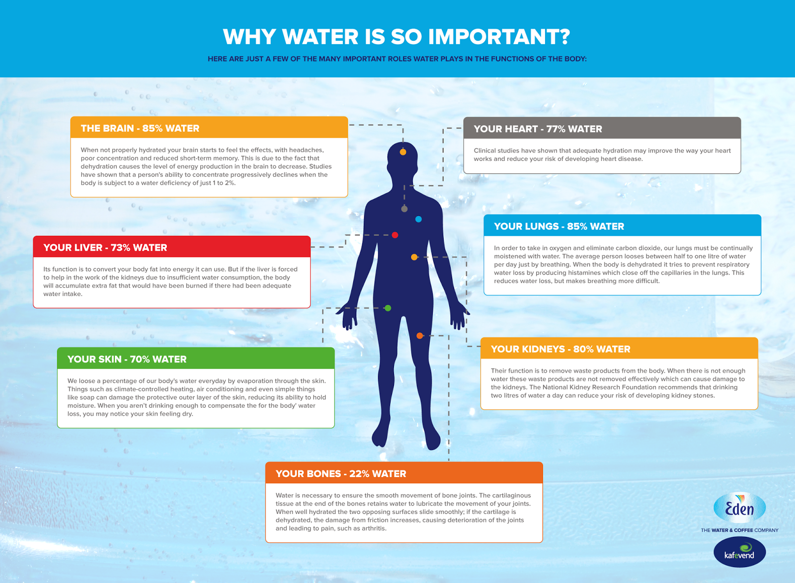 Biology Biological Molecules Water