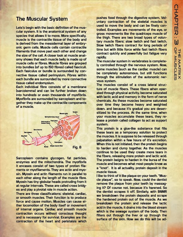 MATRIX BODY MECHANICS: TRAINING MANUAL