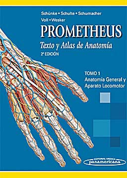 TRAUMATOLOGIA Y ORTOPEDIA: Texto y Atlas de Anatomia - Prometheus
