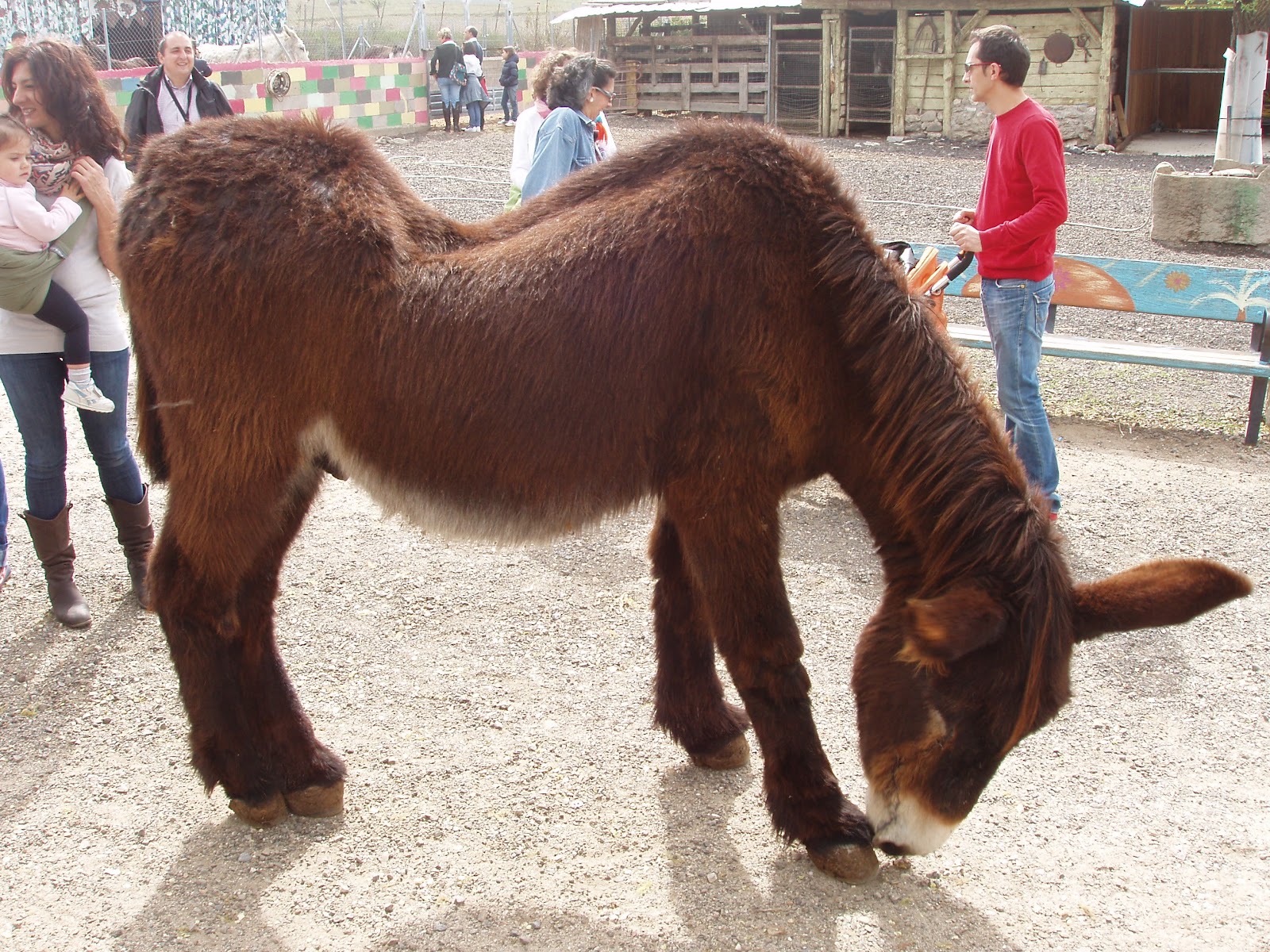 Caminando por Madrid: mayo 2012