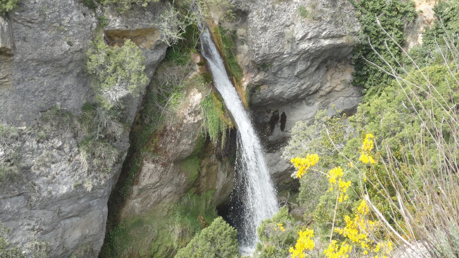 ruteandopro: DESFILADERO DEL RIO PURON