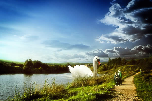 best photos 2 share: Absolutely Amazing Photography from Wojciech Grzanka