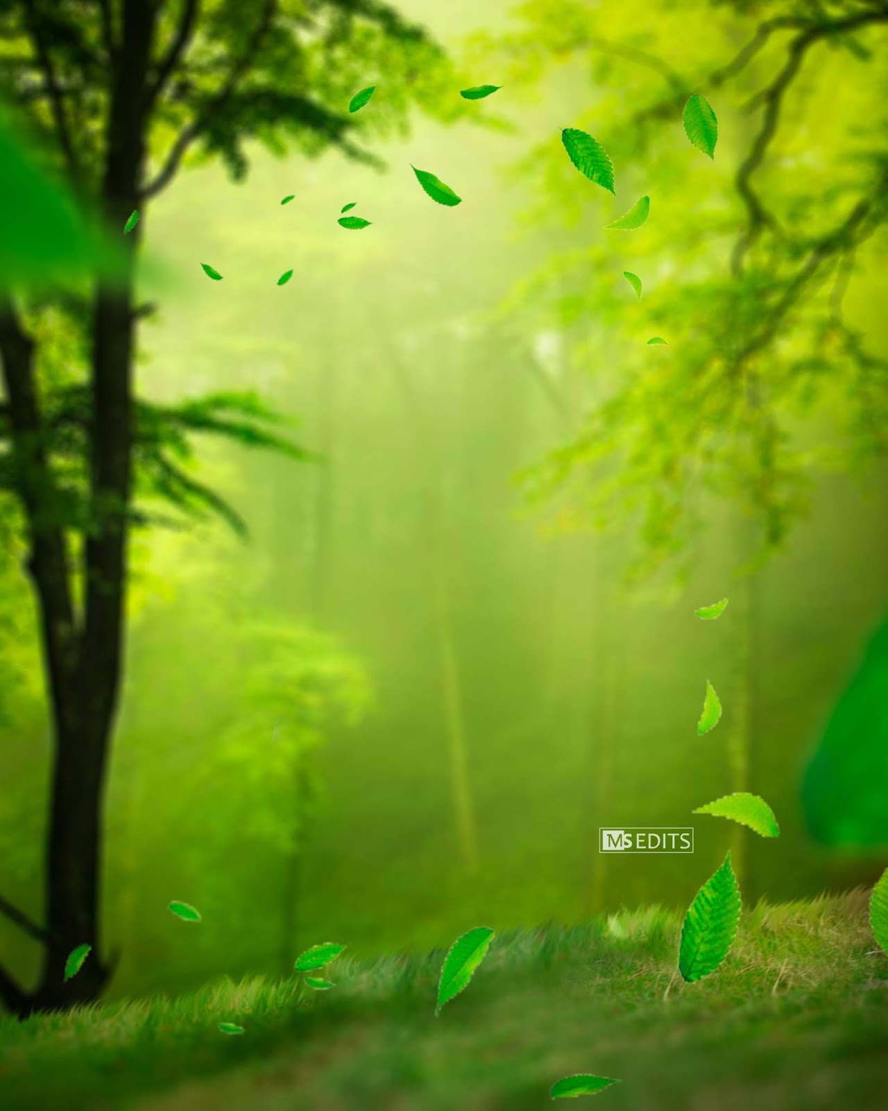 Green Forest Manipulation Background - Manipulation Background ...