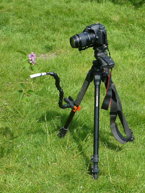 The NEW Wimberley Plamp 2, Plamp G and Plamp Extension, Chatty video ...