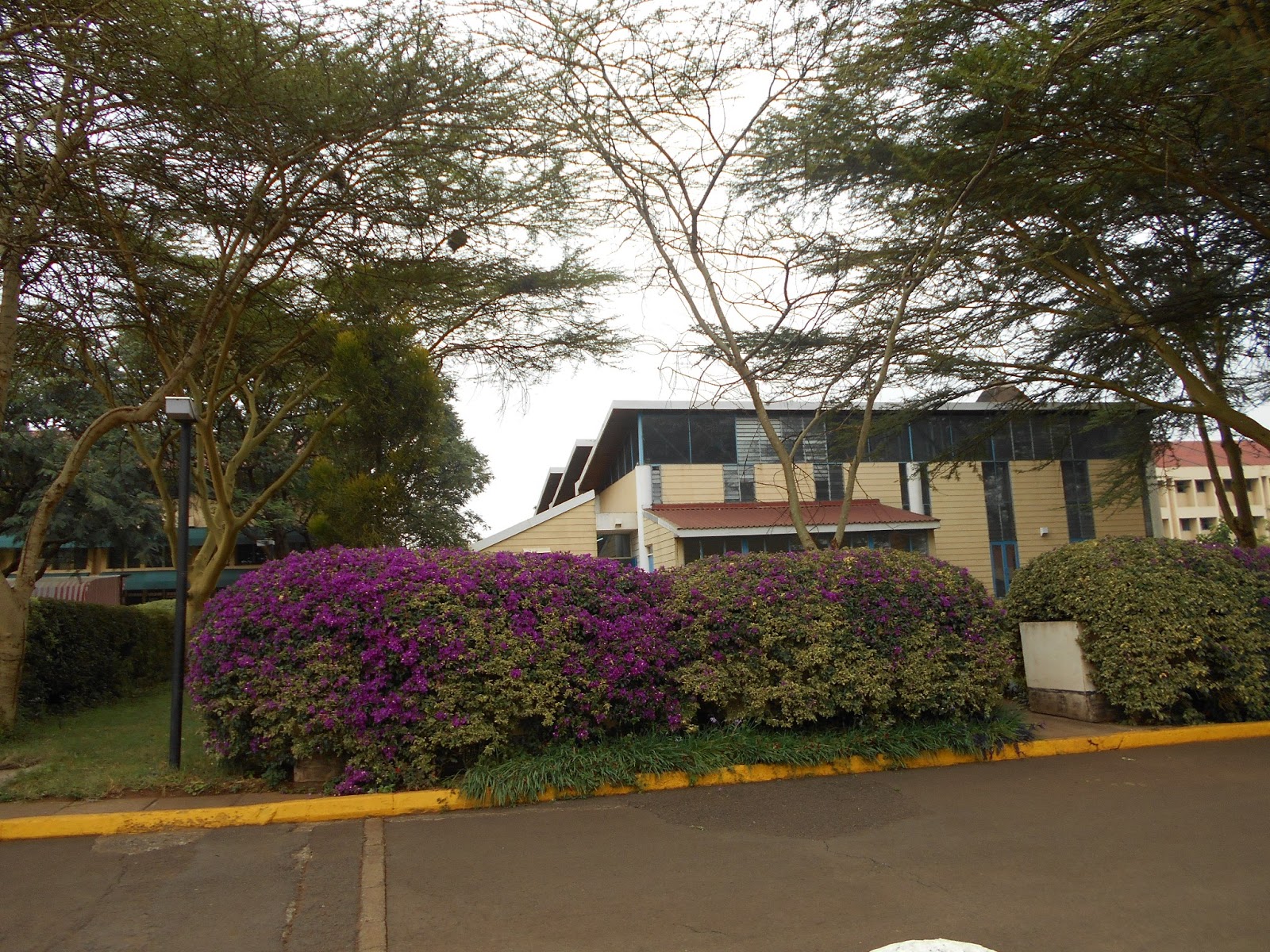 My Summer at ICIPE in Kenya: June 2013