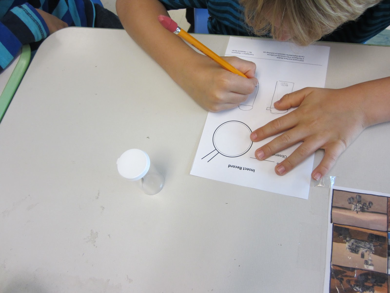 The Lower Elementary Cottage: The Best Science Lesson Ever!