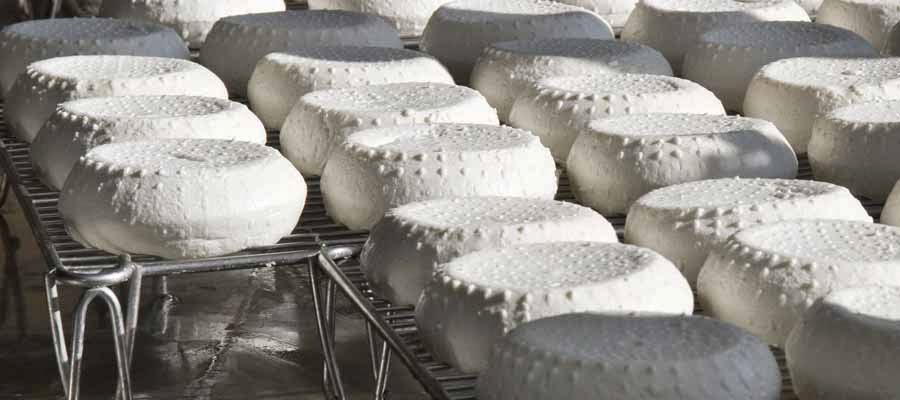 Turin Epicurean Capital: Robiola di Roccaverano DOP