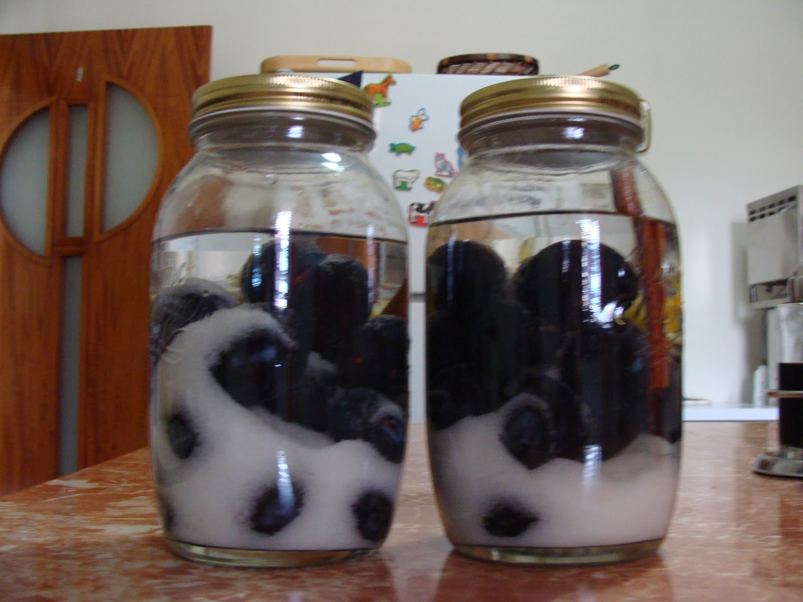 Albania or Bust: The Food Files: Slivovitz (Plum Brandy)