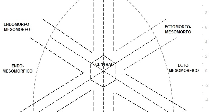 Como interpretar el Somatotipo según las técnicas ISAK - Educación y ...