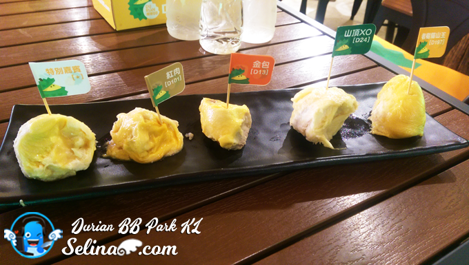 Durian BB Park, All-Year Round of Durian King In Kuala Lumpur, Malaysia