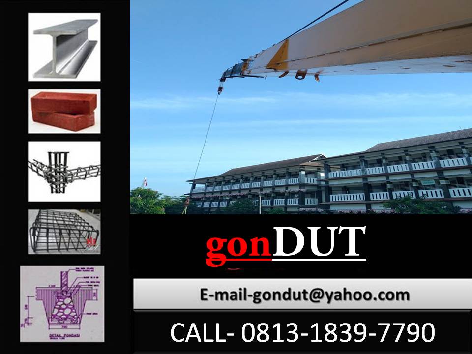 baja wf 600: baja wf 600