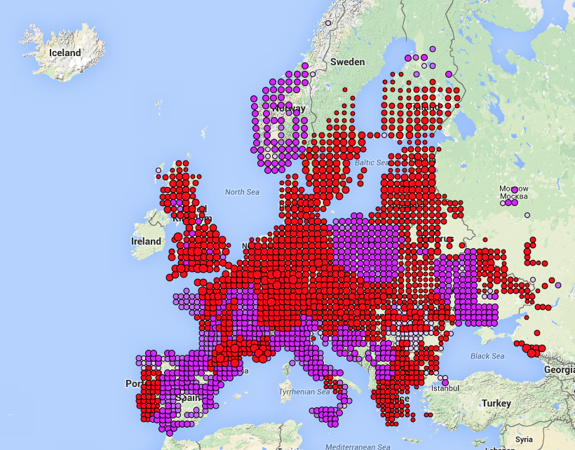 TrogTrogBlog: Bird of the week - Tawny owl