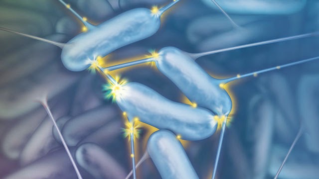 Biocables are real! ~ Be Bio'D up!