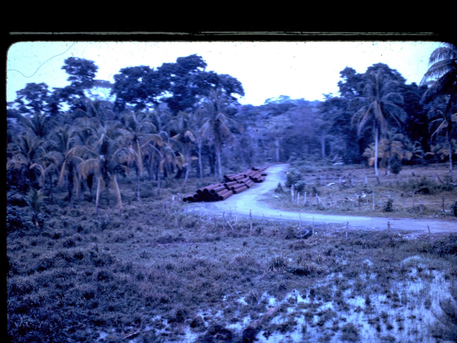 Costa Rica 1977 SBT=StoneBearTracks: Costa Rica Jungle Train to Limon ...