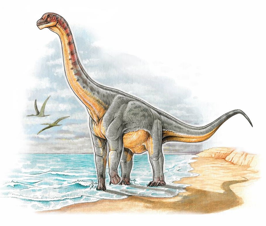 Species New to Science: [Paleontology • 2015] Padillasaurus leivaensis ...