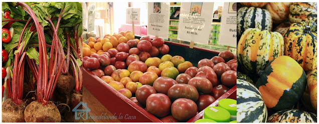 Let's Go to the Farm! - Remodelando la Casa