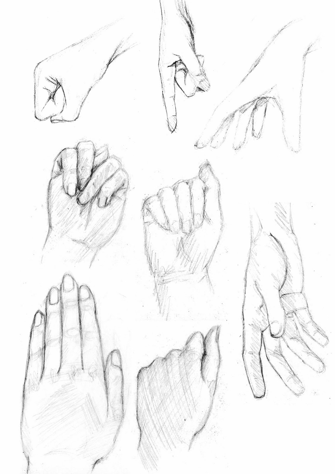 Julia Young Animation: Observational Drawings