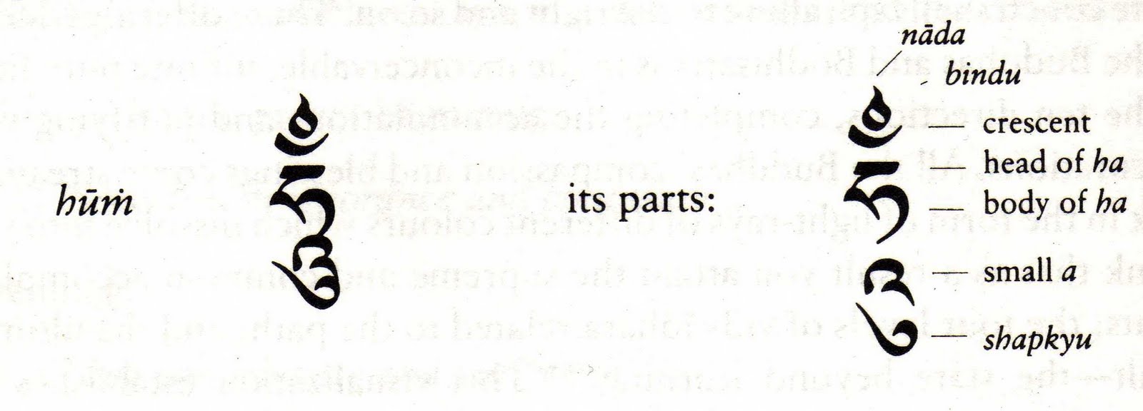 urban lama: MEDITATING ON VAJRASATTVA: A POWERFUL CLEANSING PRACTICE