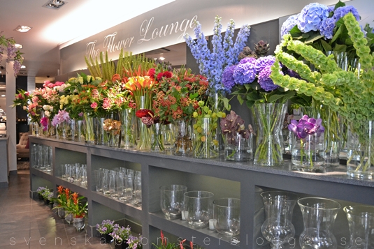 Neil Strain's Flower Lounge | Svenska Blomsterbloggar: Neil Strain's ...